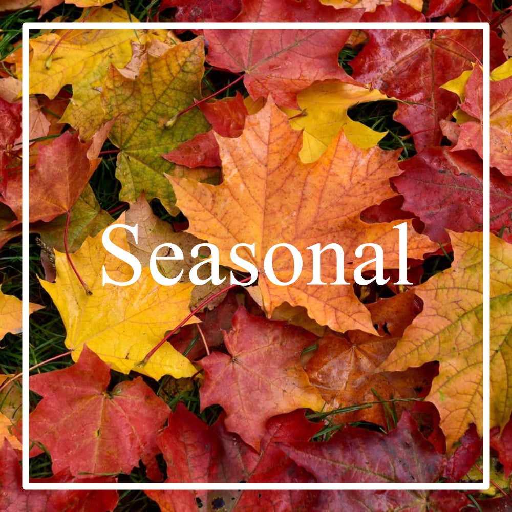 Autumn – Compass Chocolates